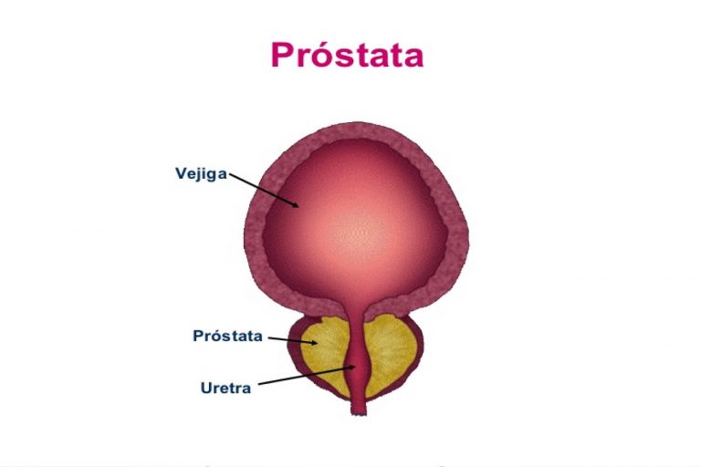 Estudio correlacional entre el índice de masa corporal, perímetro ...