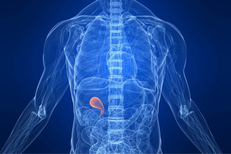 Vesícula y Vía Biliar